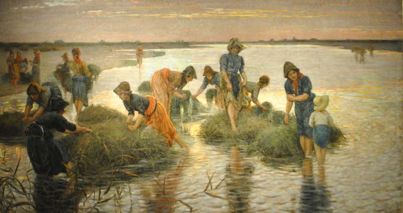 NICOLO' CANNICCI - Arcuti Fine Art